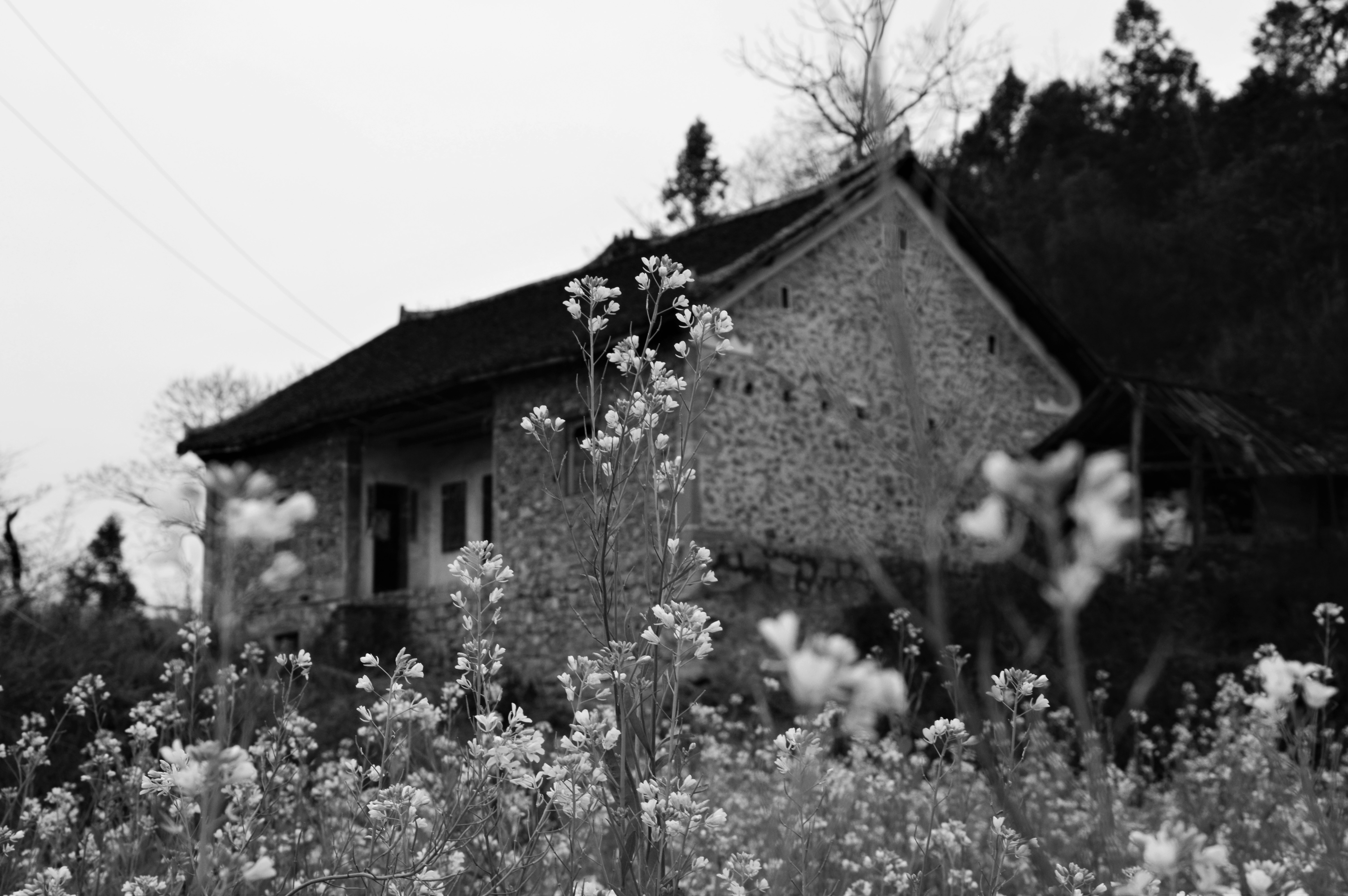 Miriam Driessen publishes article on "Rural Voids" in Public Culture ...